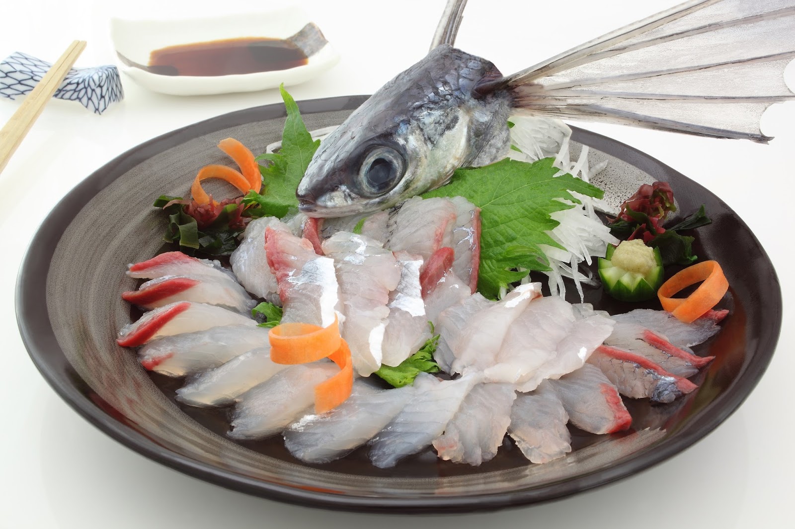 More Interesting Things About Flying Fish |MyRokan