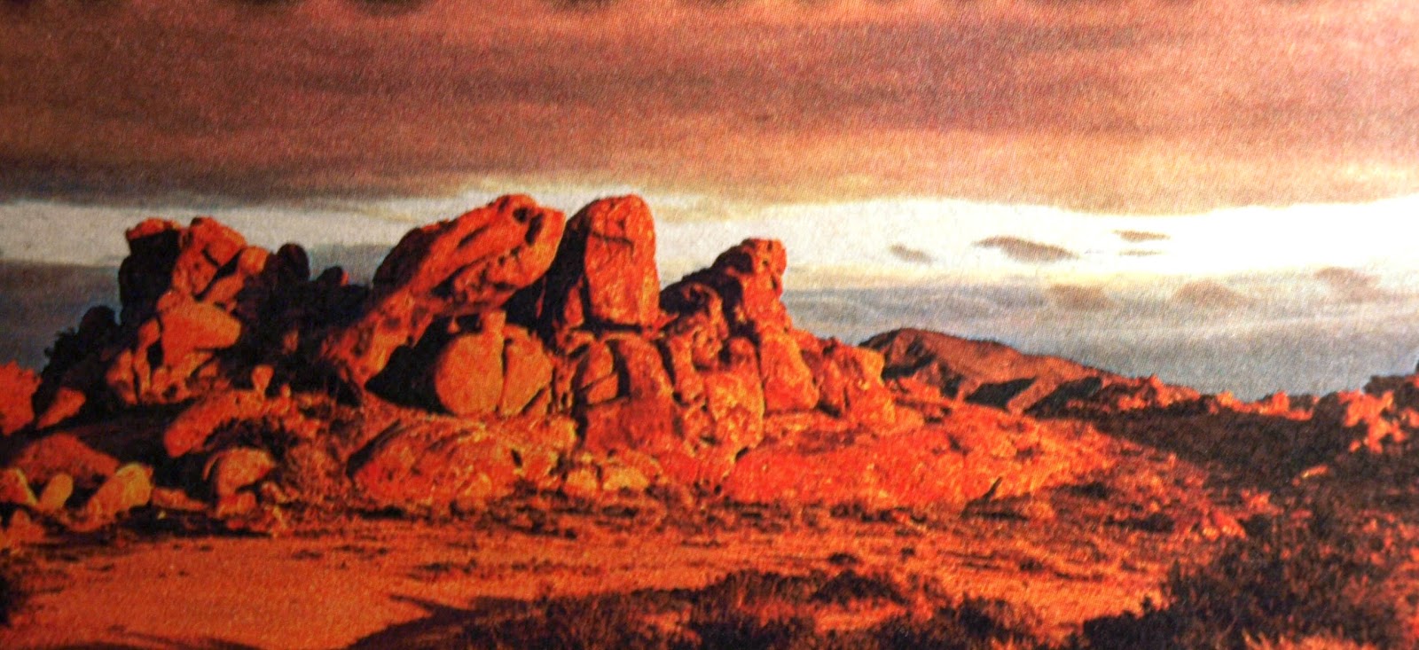 .: Pustynia Gobi i jej dziwni mieszkańcy