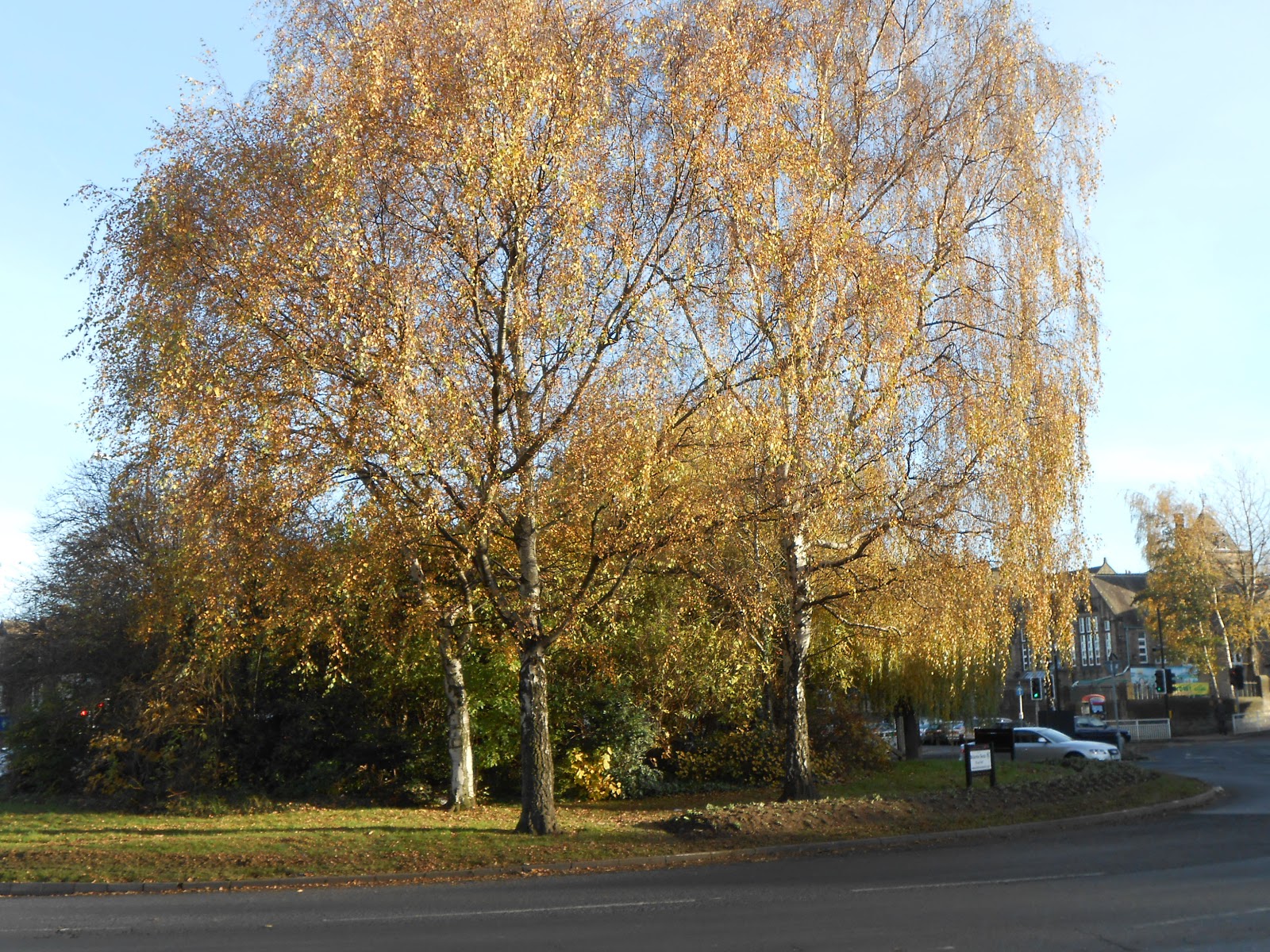 WI on Ecclesall Road: Contact us