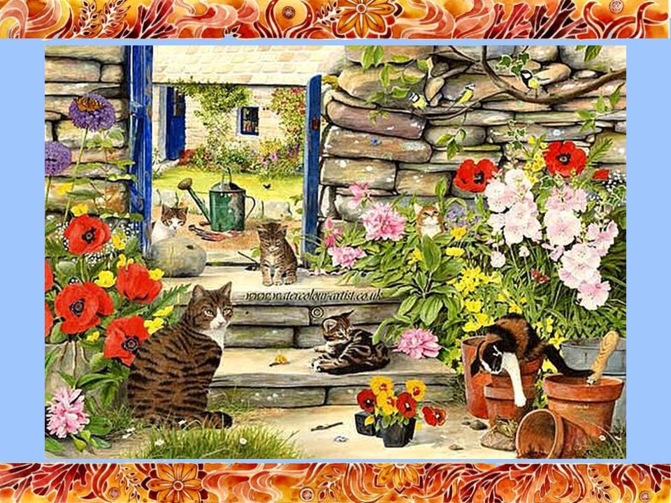 Soloillustratori: Tracy Hall