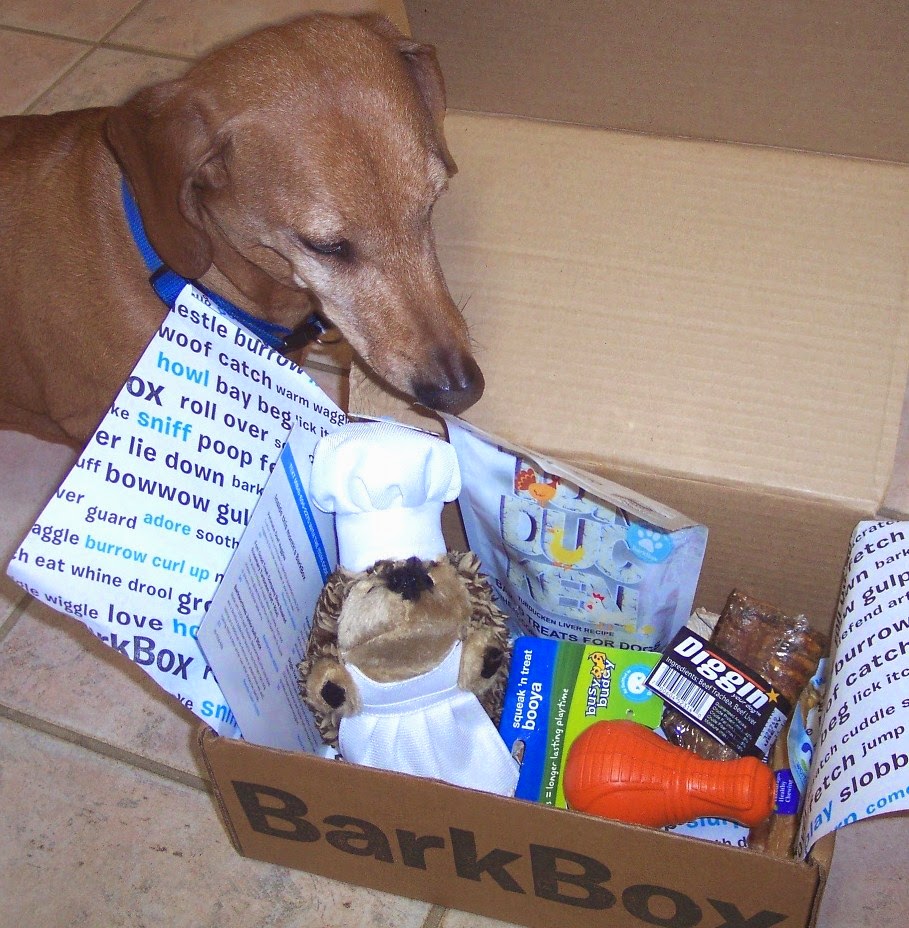 Lone Star Shopper: BarkBox Dog Subscription Review, November 2014 + $10 ...