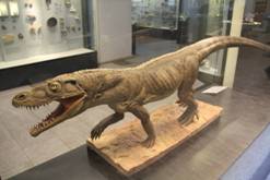 EstPal: Paleogénico e Neogénico