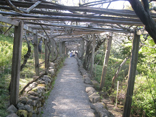 Sissel Olga goes to San Jose: Japansk hage