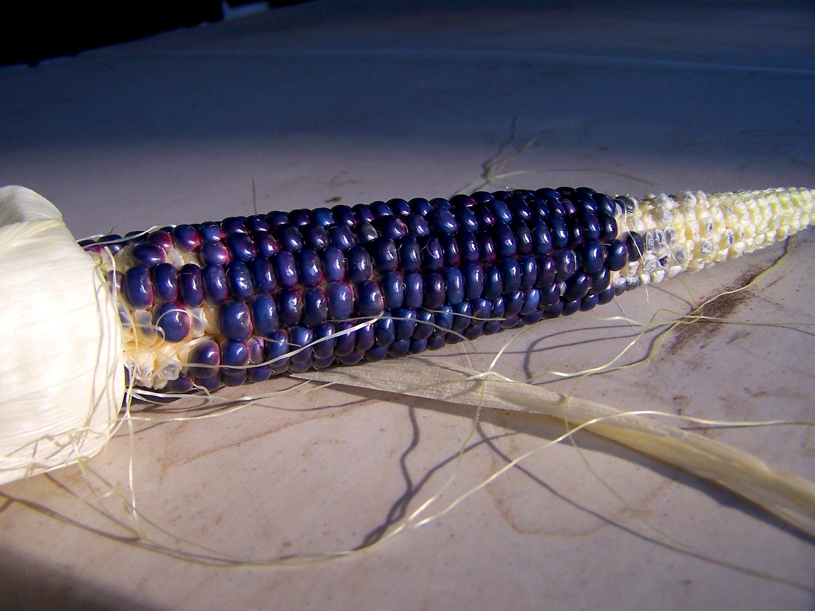Meridianos: Alimentos de color azul
