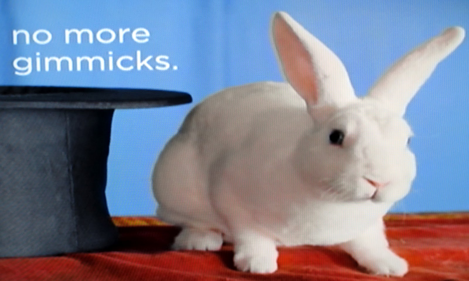 Rabbit Ramblings: More bunnies in commercials