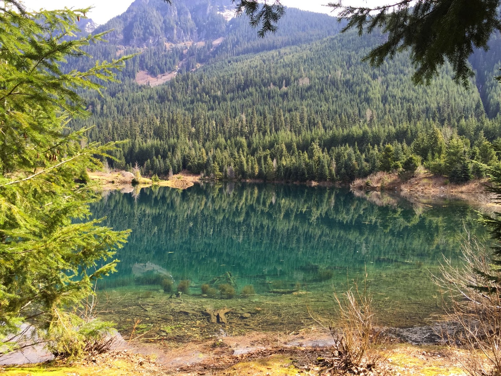 Adventures with Jake: Gold Creek Pond - Spring 2015