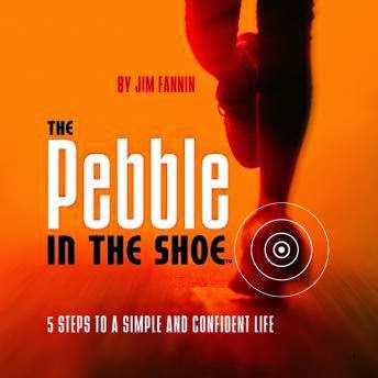 Life ... As it is !: What are the 'pebbles' in your shoe?