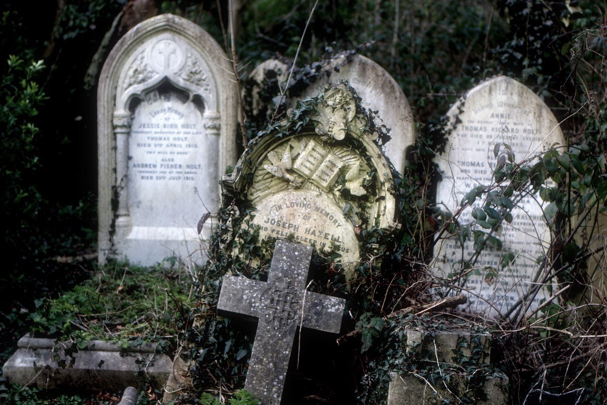 Highgate Vampire | Bizarre