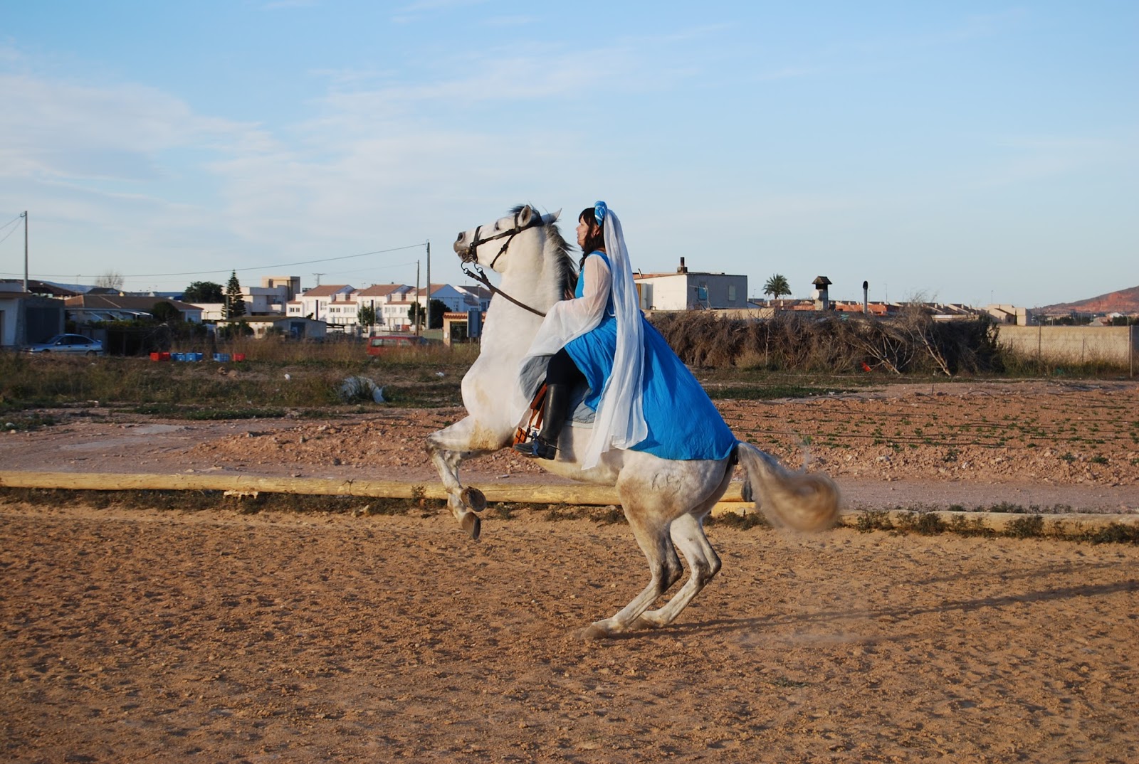Caballos en Campo Real: Fiestas, espectáculos y romerías