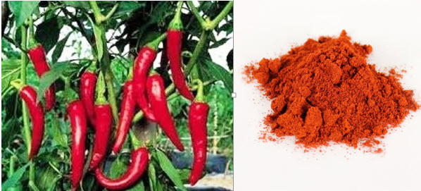 Cooking with Single Dad: Spices V