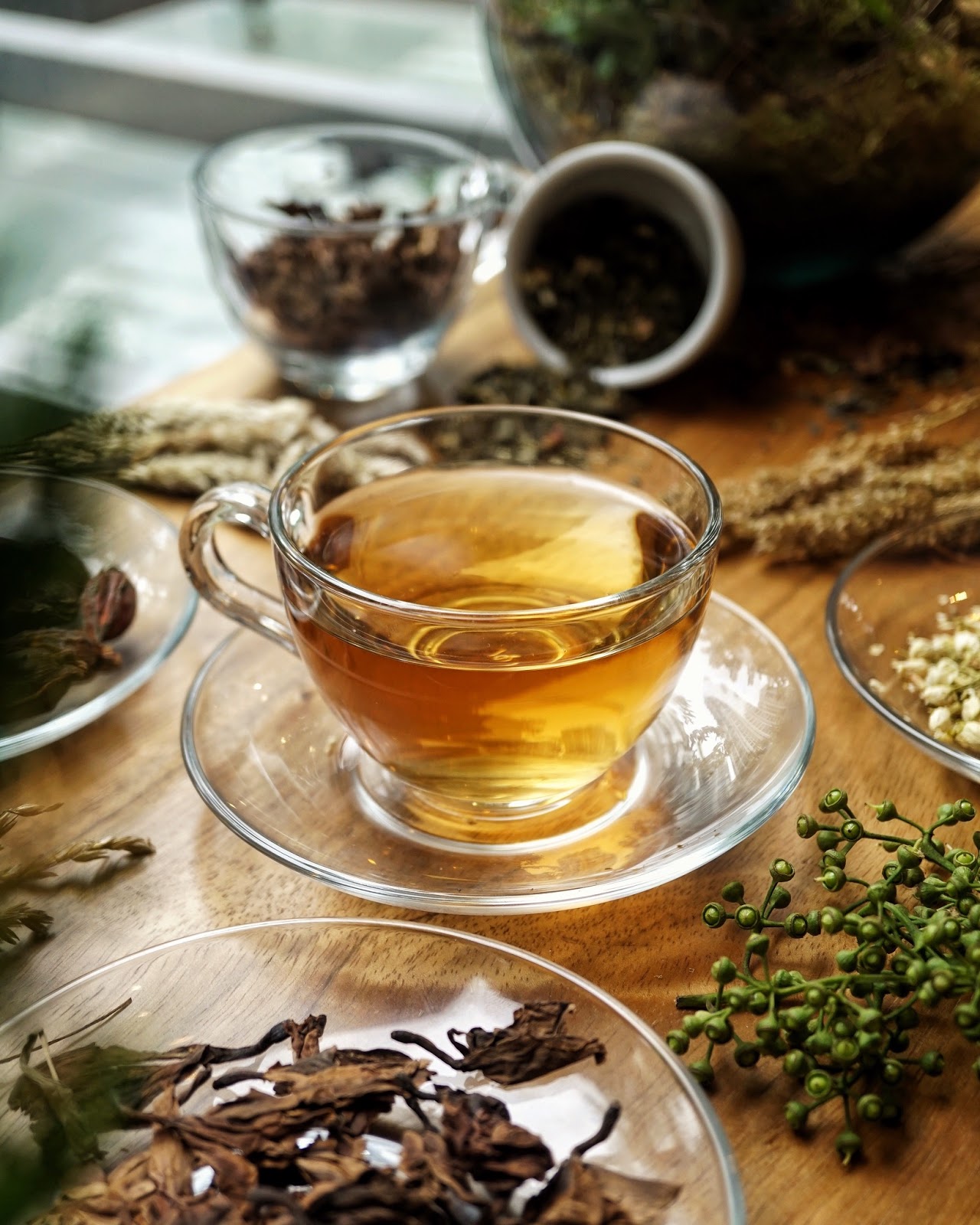 What Mary Loves: My Cup of Tea: Coffee Bean and Tea Leaf's Tea ...