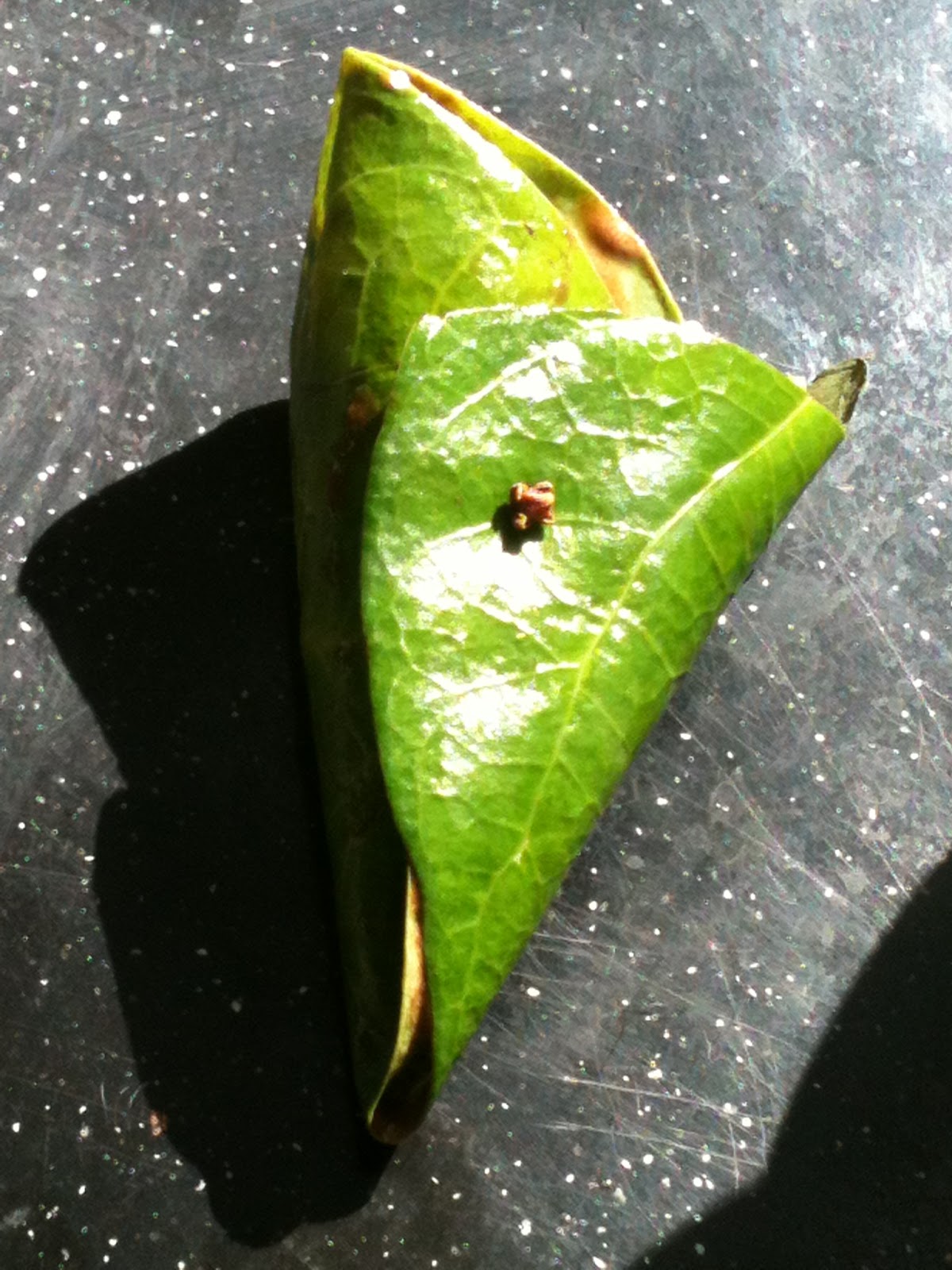 Banarasi Paan From My Kitchen