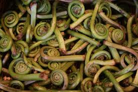 Gourmet Foragables: How to find and cook with wild edibles: Wild Spring ...