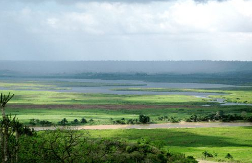 Angola Rising: Massive Expansion of Angola's Conservation Areas