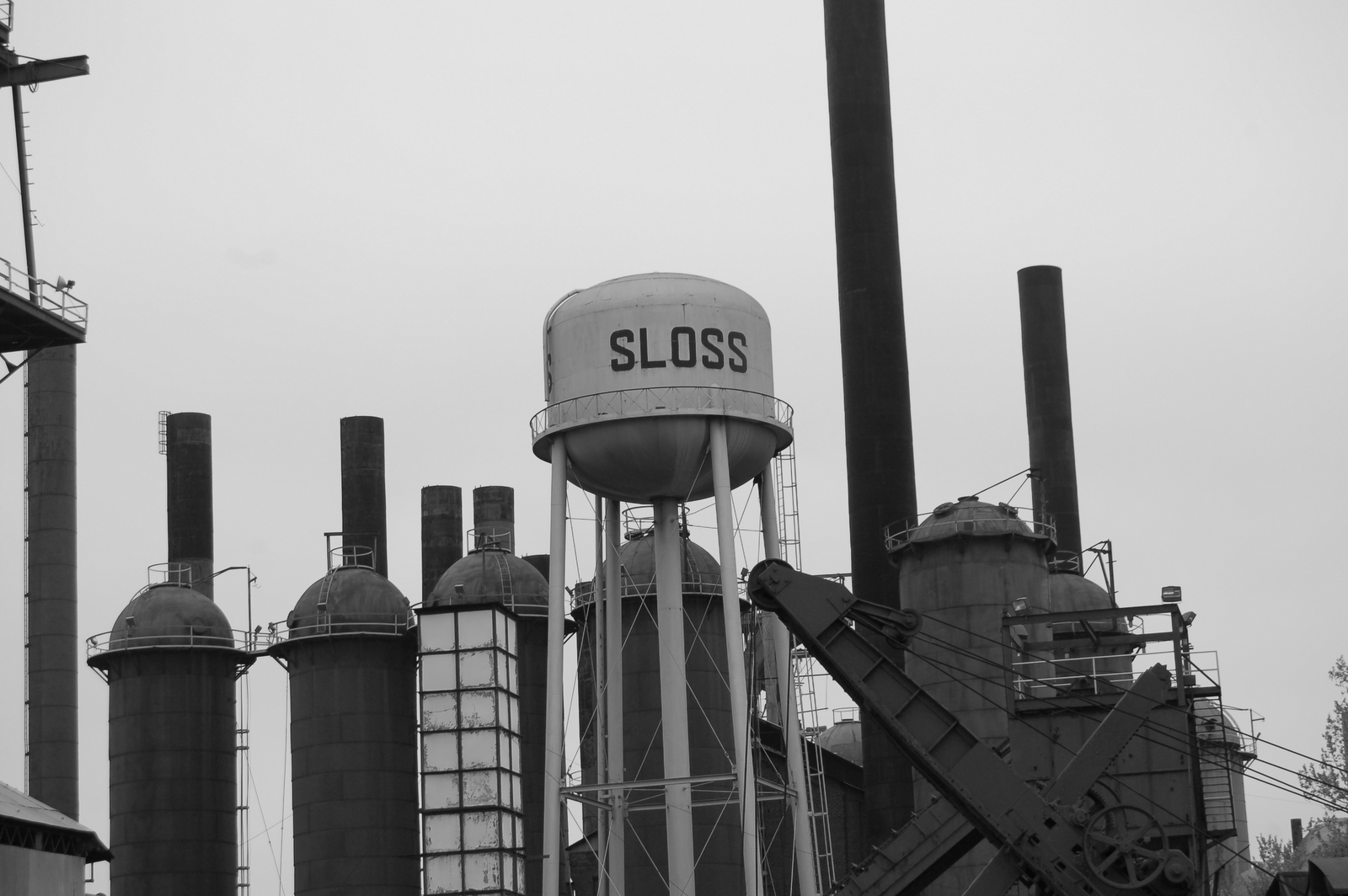 Vintage Bird: Sloss Furnace