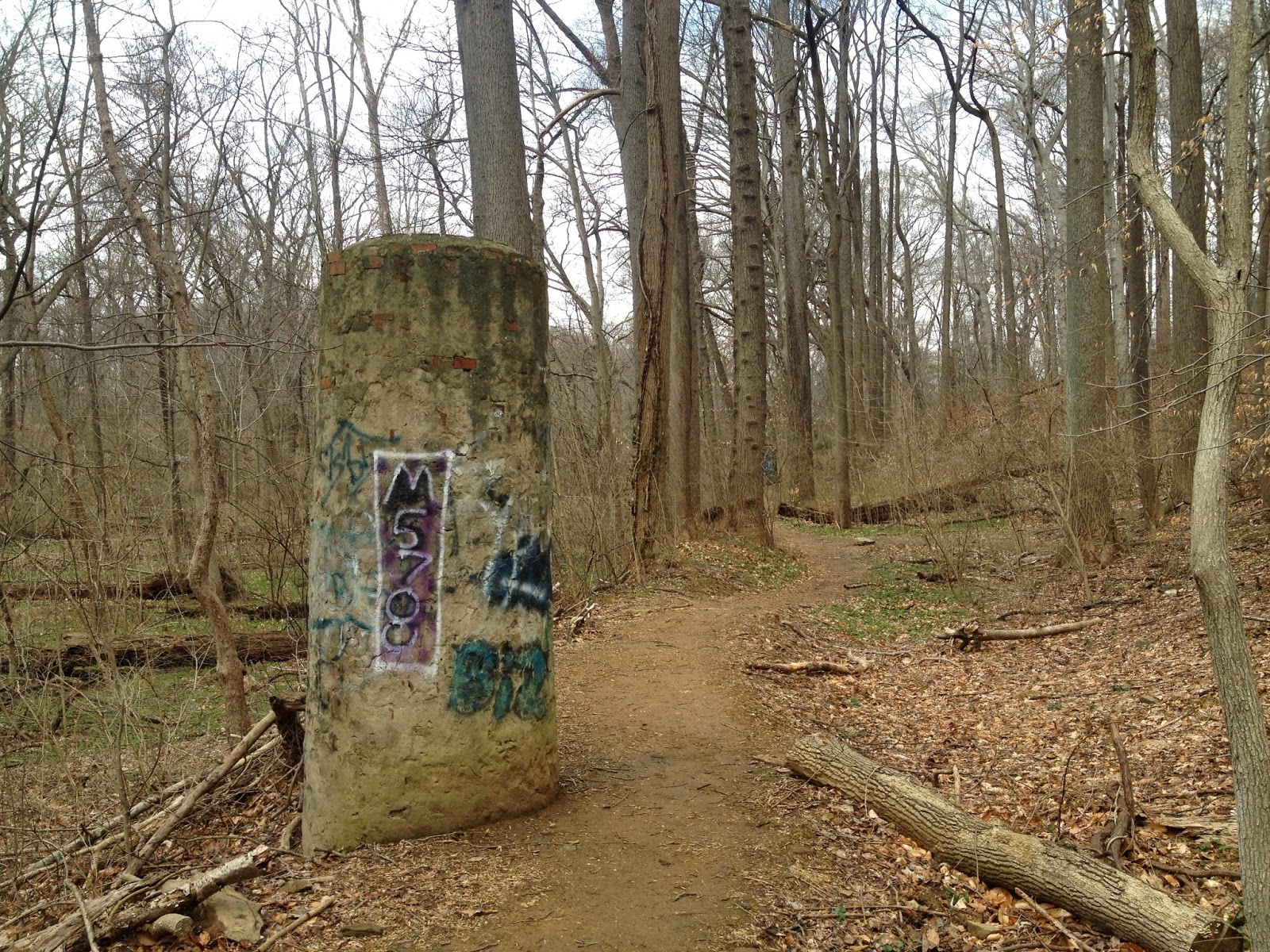 PHILLY TREES: THE PHILADELPHIA PALIMPSEST