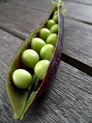 Aan Jeanne`s Keukentafel: Capucijners van mn Tante