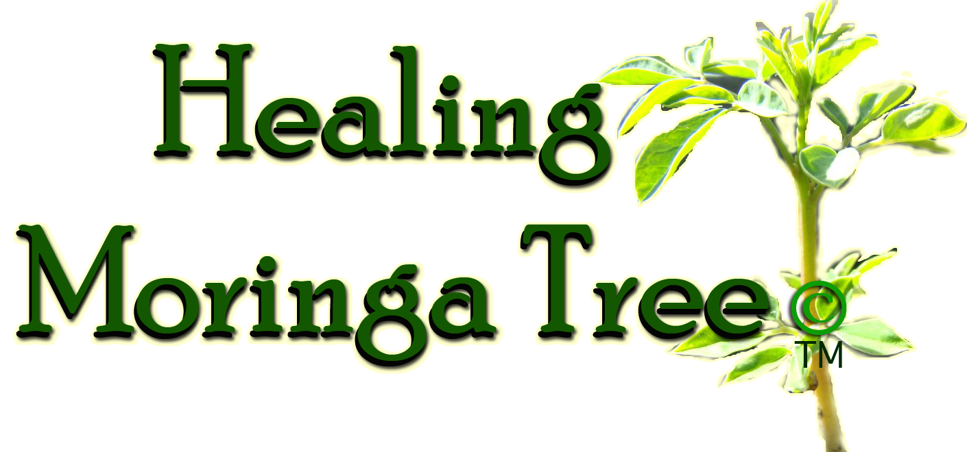 Healing Moringa Tree: Organic Moringa Plant Fertilizer!