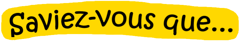 Grammaire Contrastive Français-Espagnol.