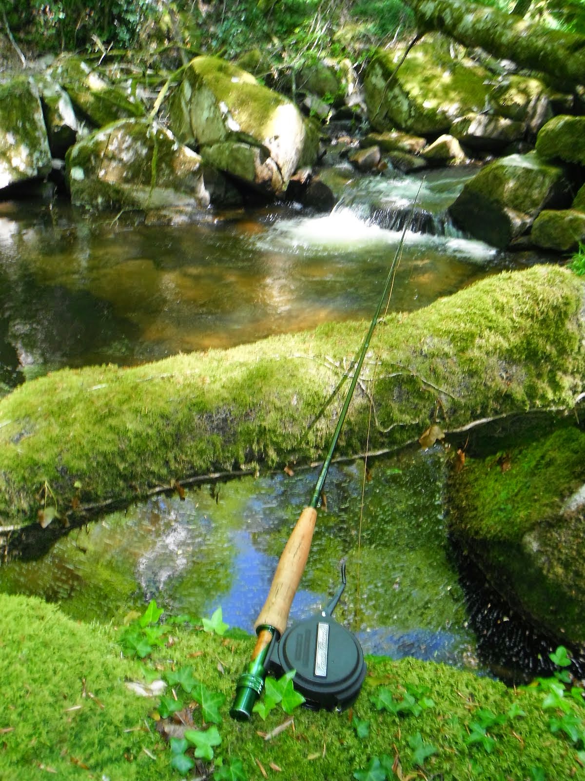 zfly31 Pêche Mouche Passion...: avril 2015