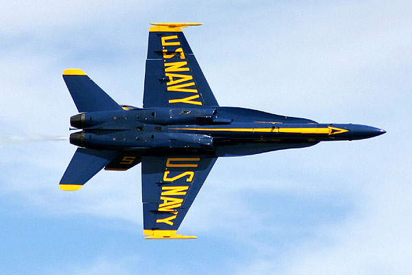 Tailhook Topics: Blue Angel Blue and Gold (Draft)