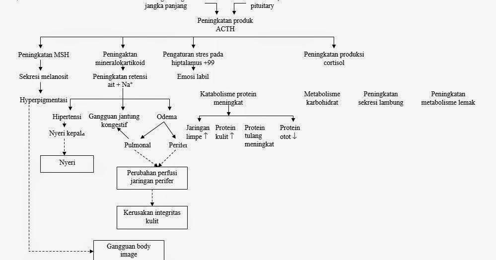 Askep lengkap bronchopneumonia pada anak pdf - lsacredits