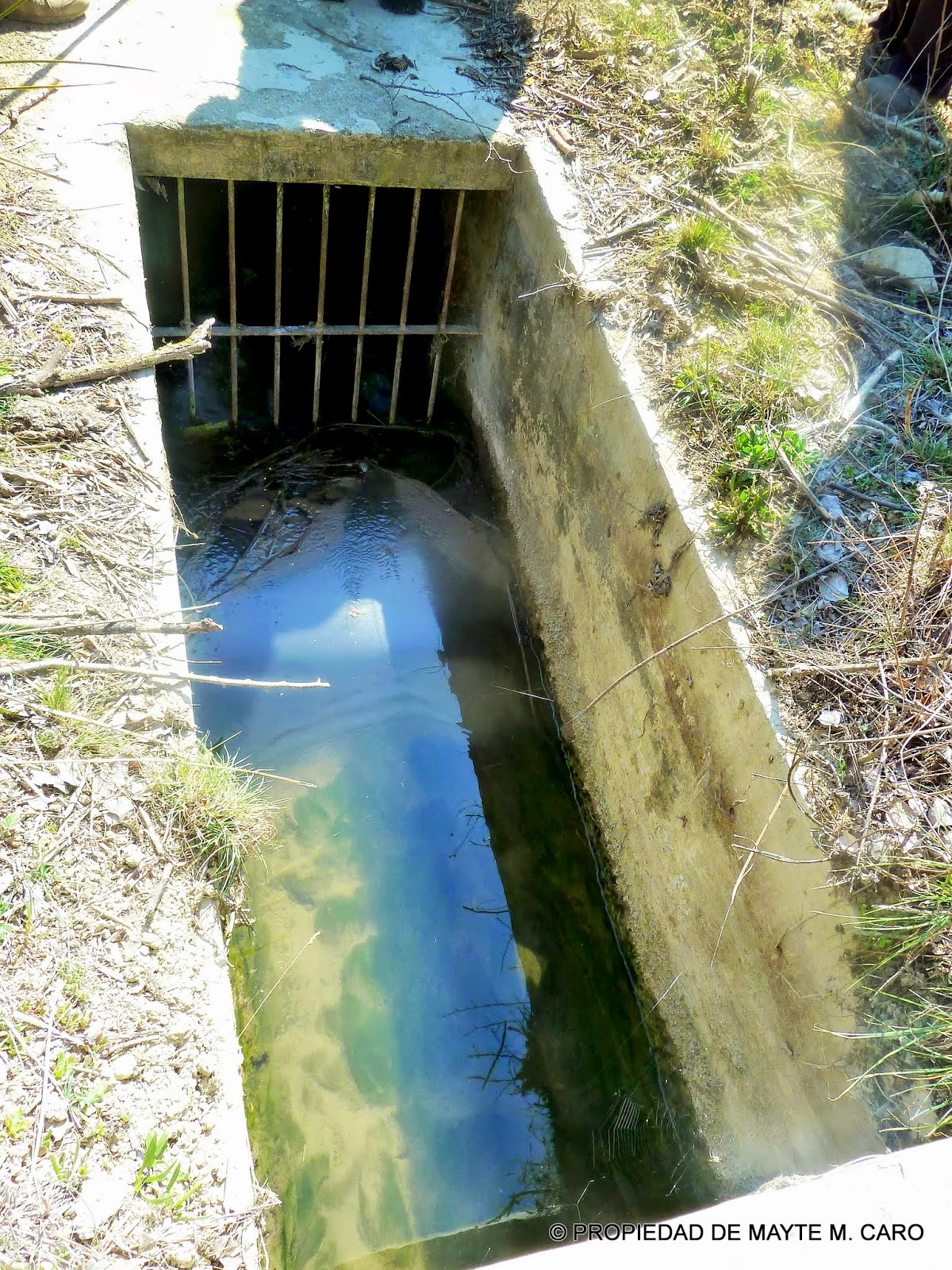 FUENTES EN GRANADA: La Acequia Real parte desde la Hacienda-Cortijo de ...