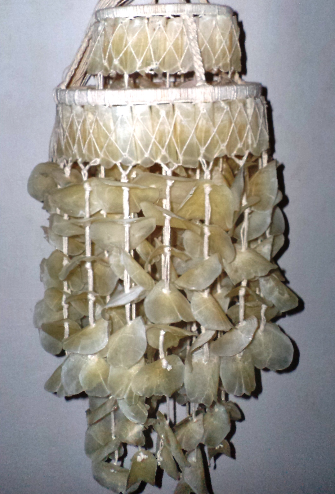 https://clickparnaiba.blogspot.com/: Escamas de peixe vira objeto de arte