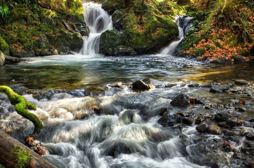 BANCO DE IMÁGENES GRATIS: Cascadas de agua cristalina en medio del bosque