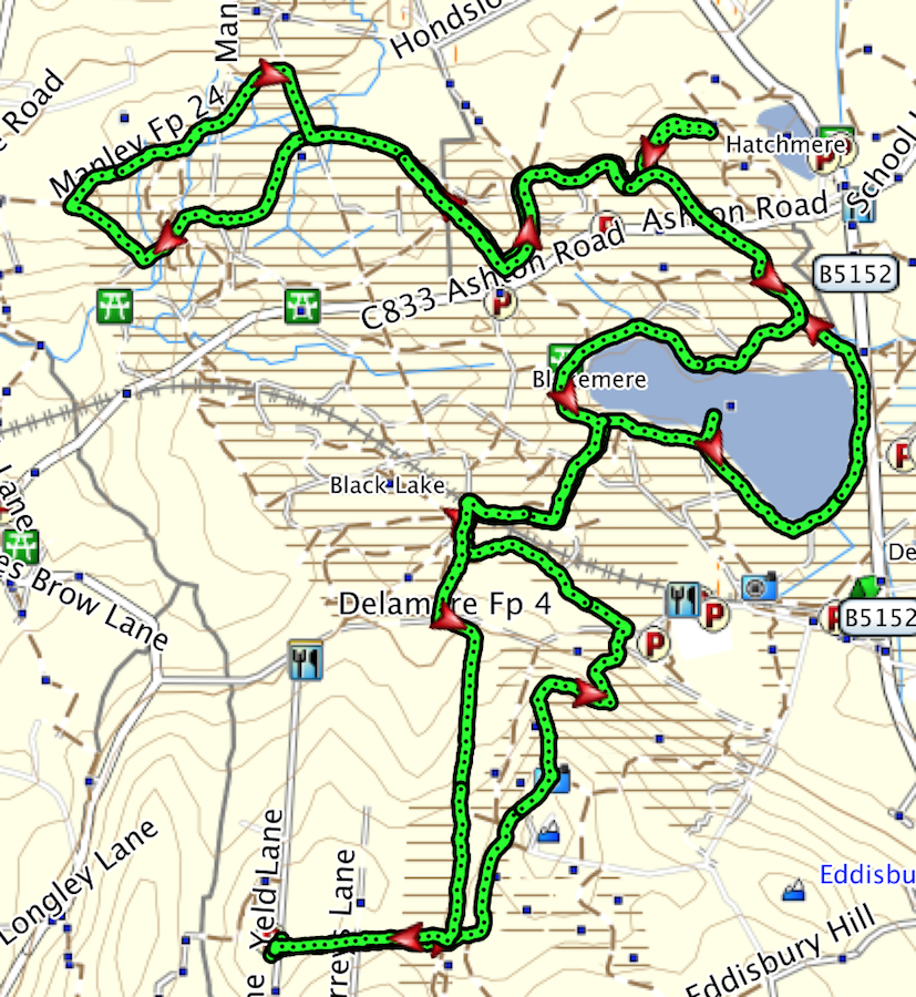 Third Bird Photography