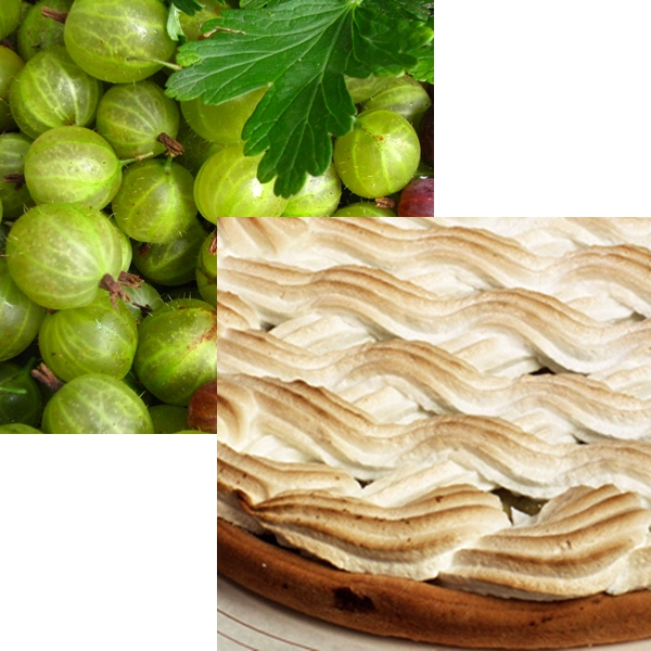 Hoorn Des Overvloeds: Kruisbessen