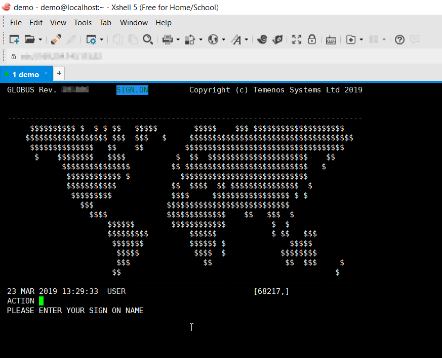 Temenos T24: Best Emulator for T24 Classic