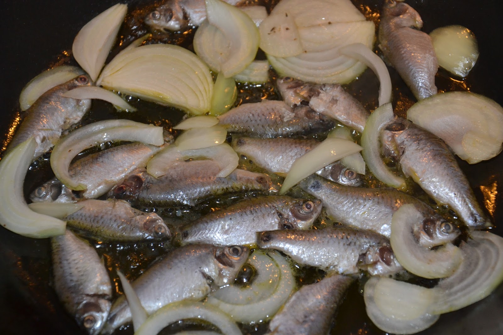 Oppdag Fisk!: Sumpbrasme/Swamp Barb/Puntius Chola (Ferskvann)