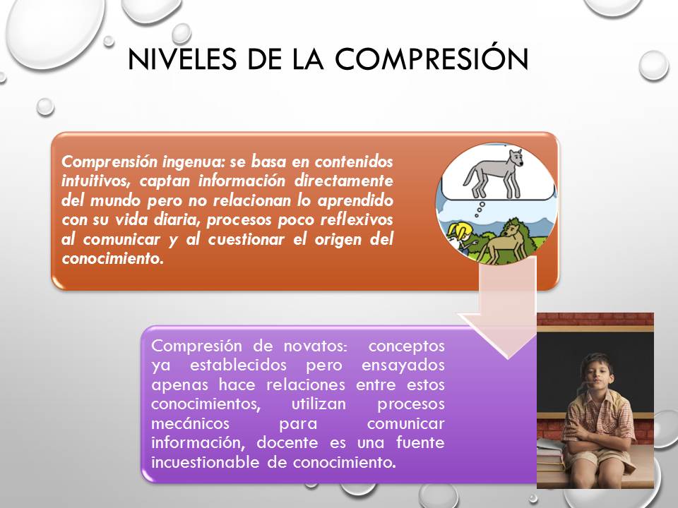 La Escuela Activa: DIMENSIONES Y NIVELES DE LA COMPRESIÓN
