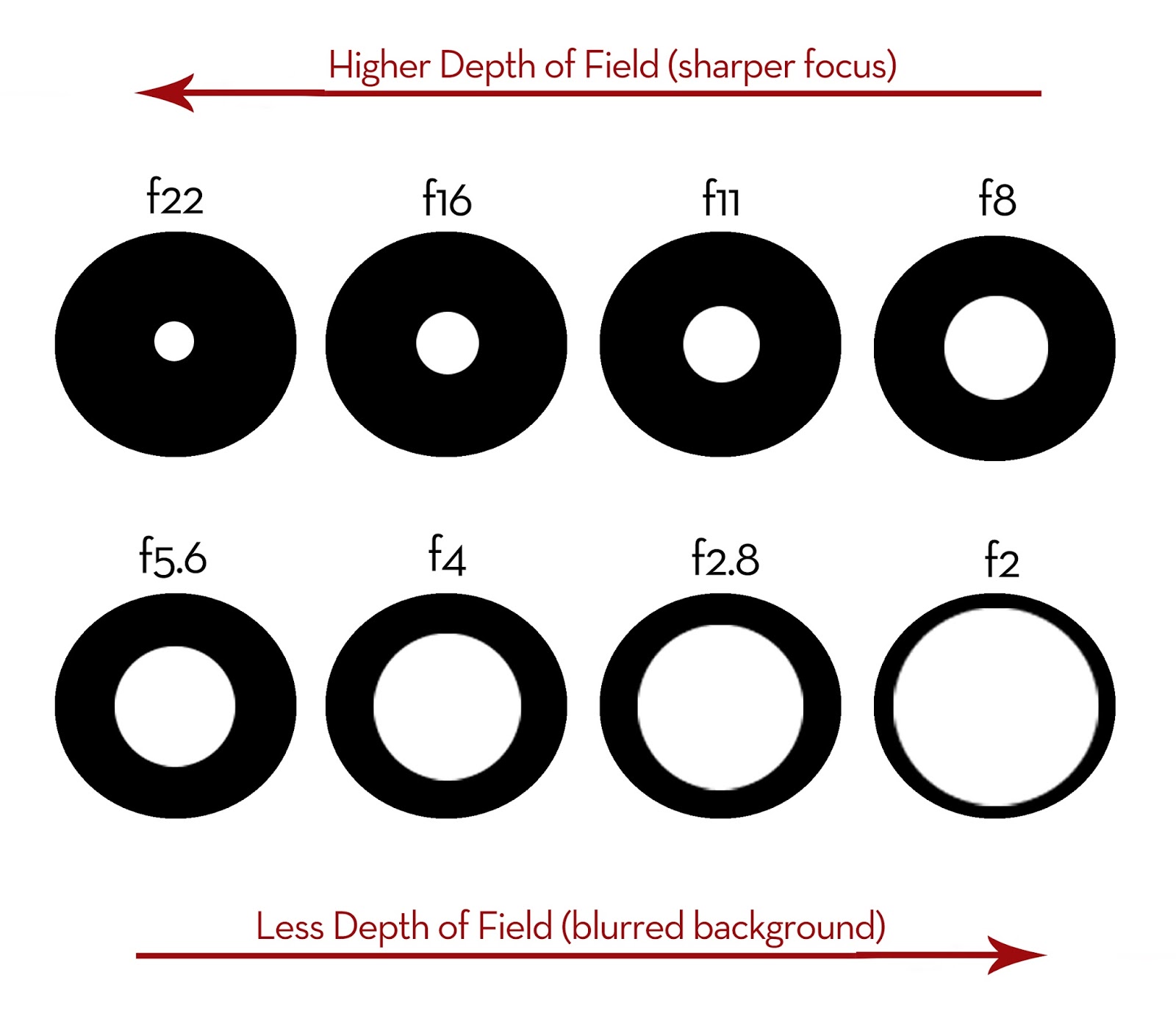 Beginners Guide-Camera have 3 Main Adventures settings