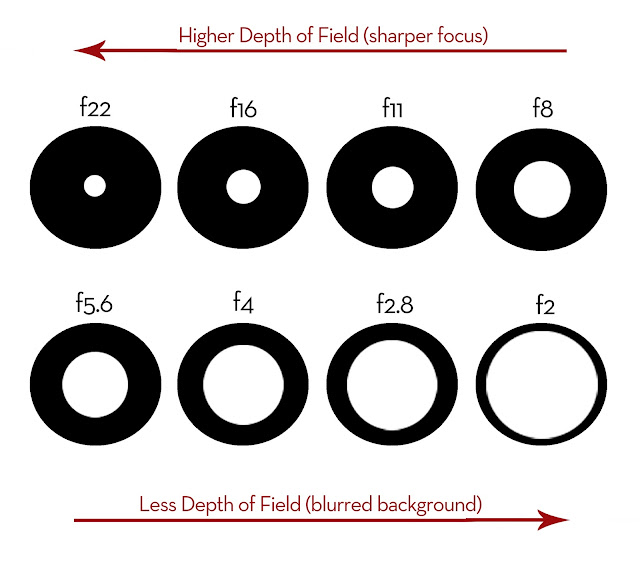 Beginners Guide-Camera have 3 Main Adventures settings