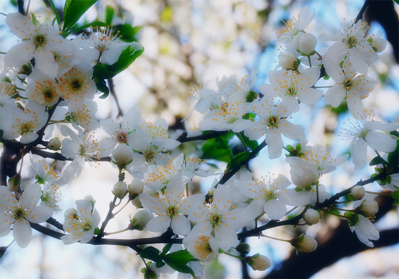 Clasa noastra: ♥E primavara♥