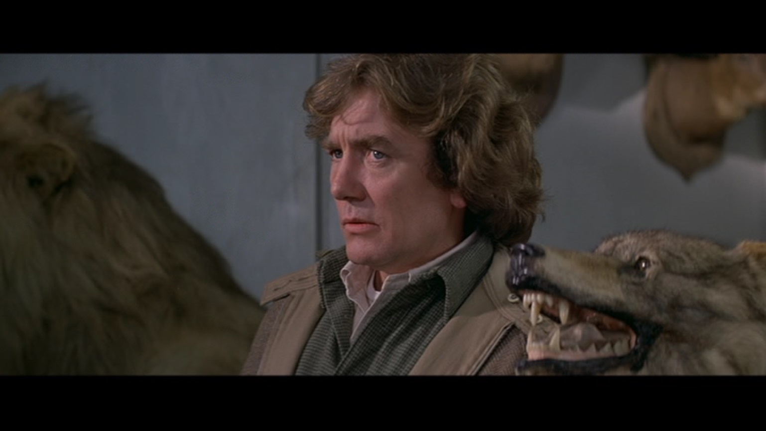 Happyotter: WOLFEN (1981)