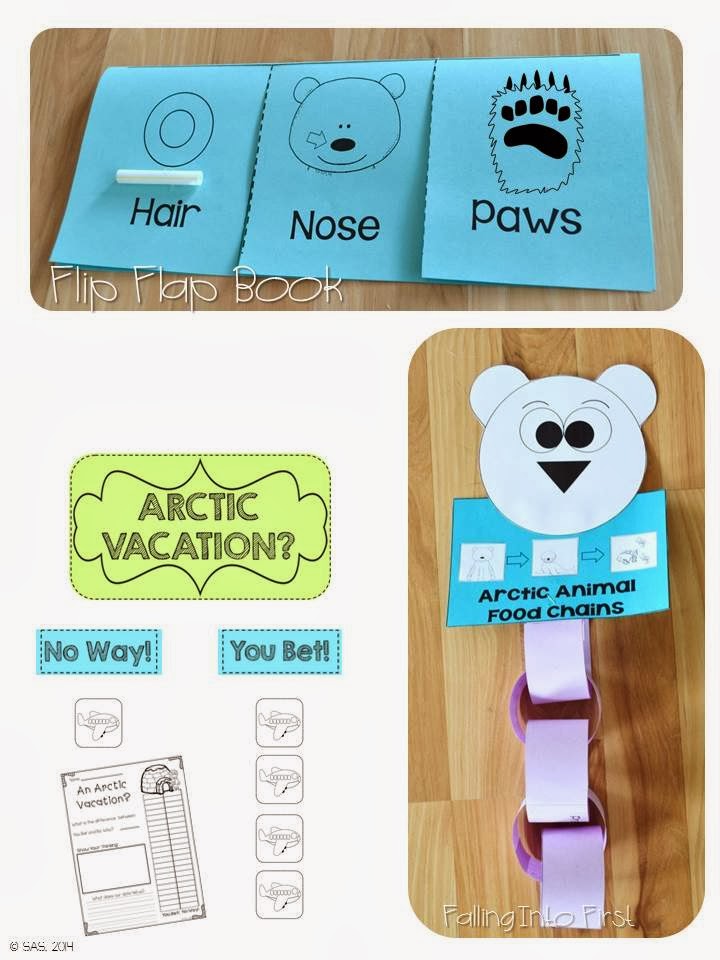 Arctic Adventures | Falling into First