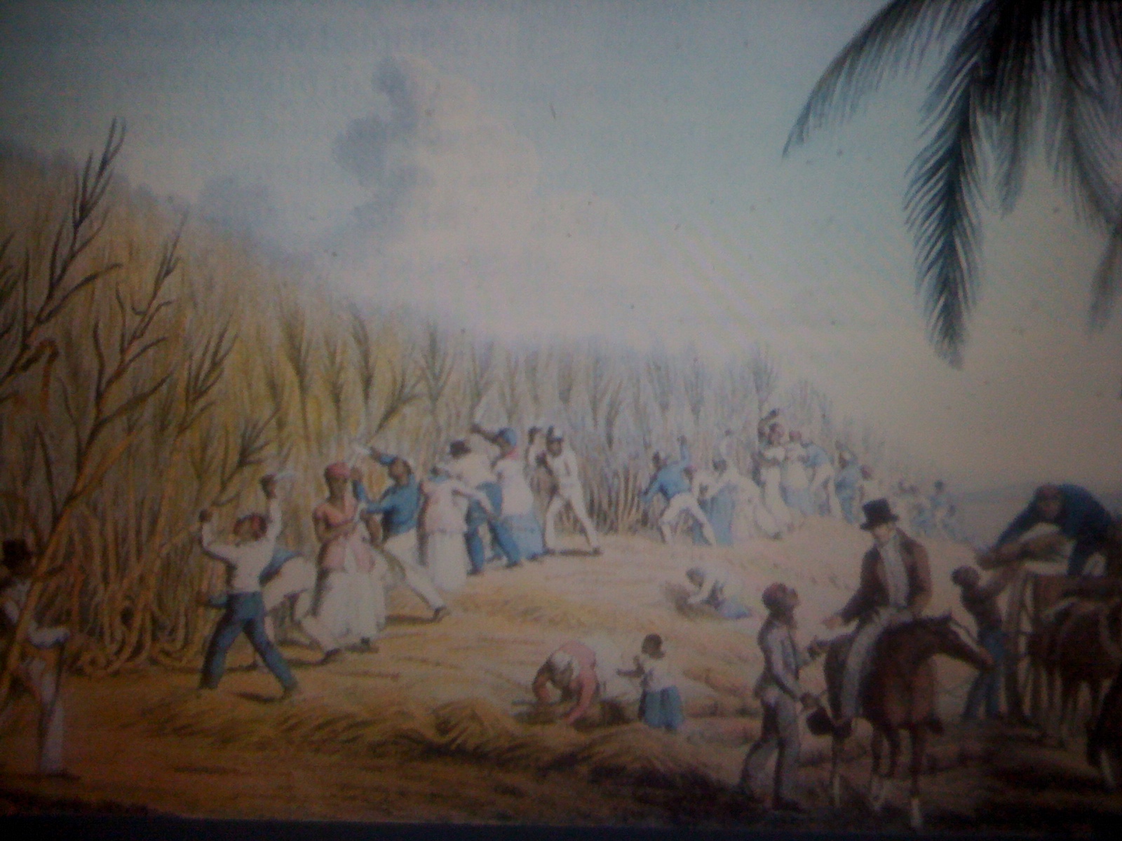 THE BLACK SOCIAL HISTORY:: BLACK SOCIAL HISTORY: FRENCH SLAVE TRADE AND ...