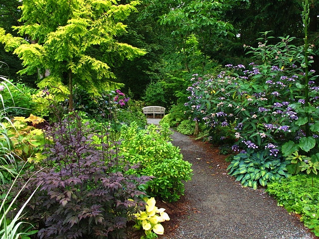 Urban Landscape, Native Landscape: Bellevue Botanical Garden