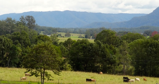 Fernmount Food Forest: Bellingen and the Coffs Coast