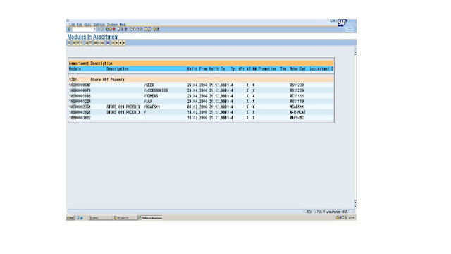 SAP RETAIL AND DOMAIN: ASSORTMENTS IN SAP RETAIL