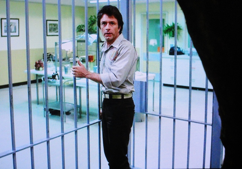 MUSINGS OF A SCI-FI FANATIC: The Incredible Hulk S1 Ep4: The Beast Within