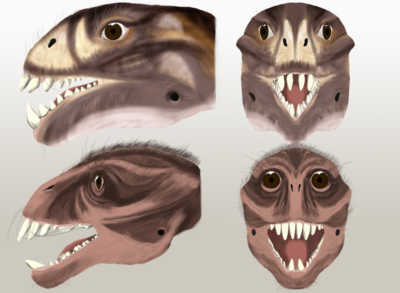 The Dragon's Tales: XenoPermian Biota of the Ural Sea: Elyadia hensonii ...