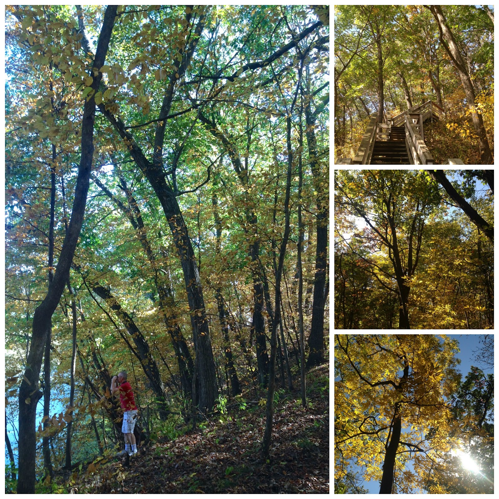 Amy's Creative Pursuits: Enjoying the Fall Colors in Merrick State Park