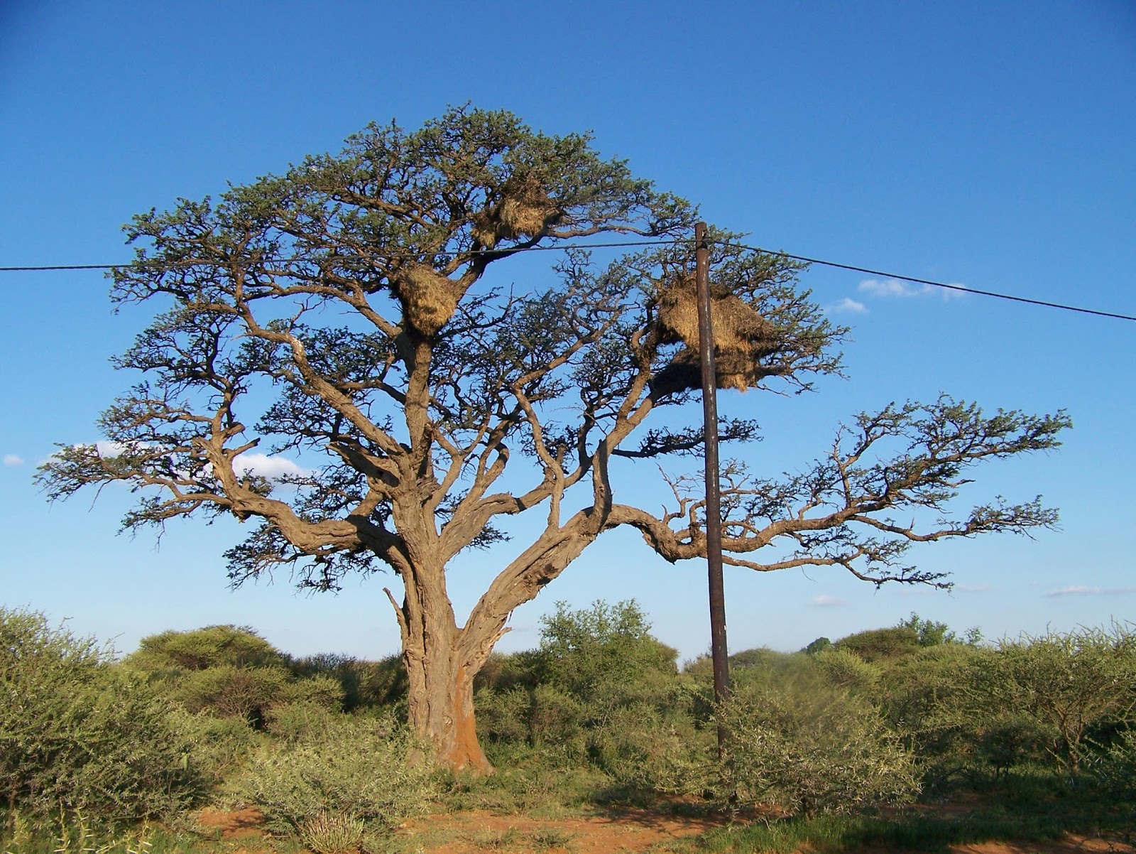 A Pretty Tourist: Meet the people of Pitsane, Botswana