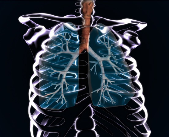 ¿Qué es la bronquiolitis? ~ El Médico Contesta