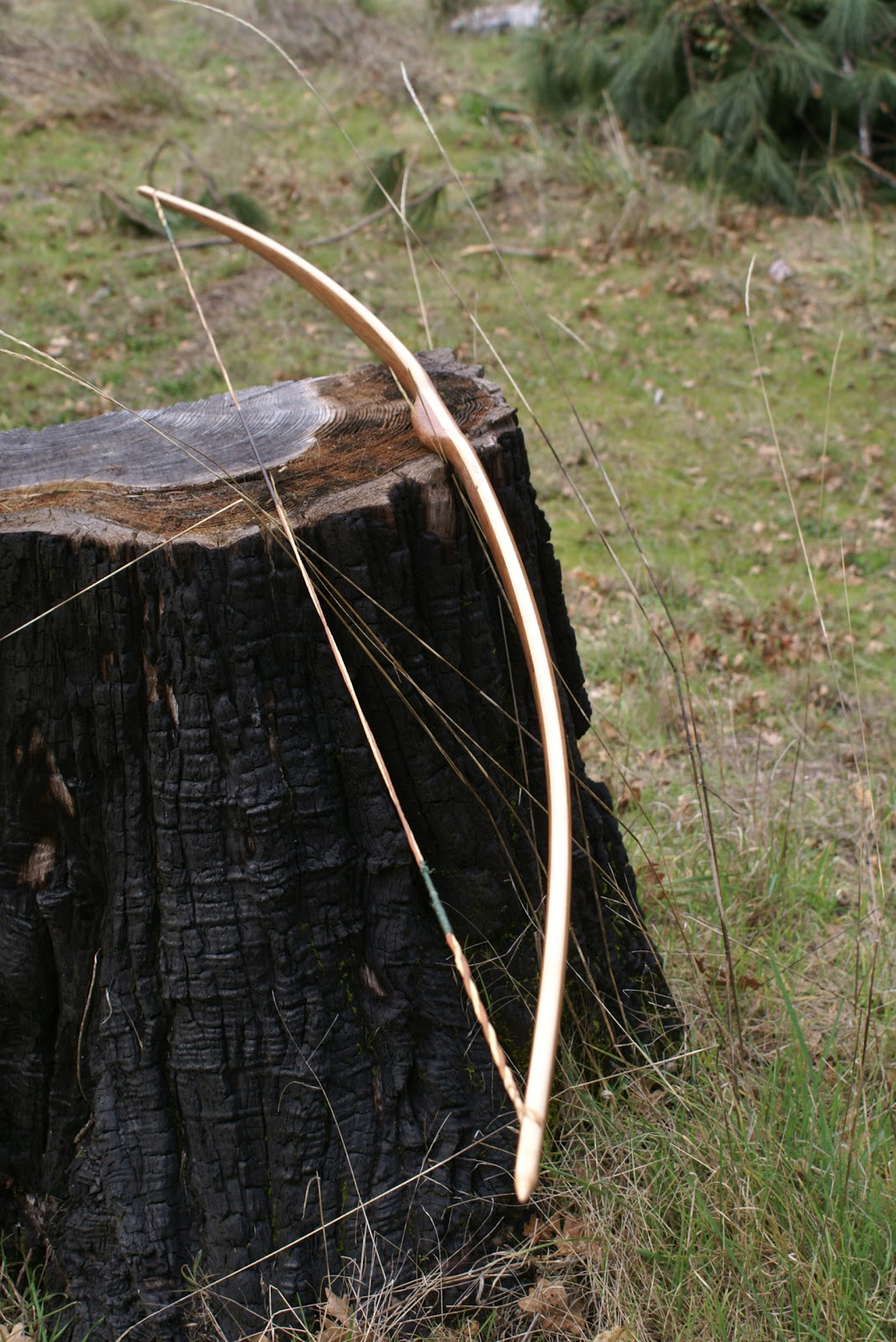Guide and Outfitter Finder: Archery - The Basic Concepts of Traditional ...