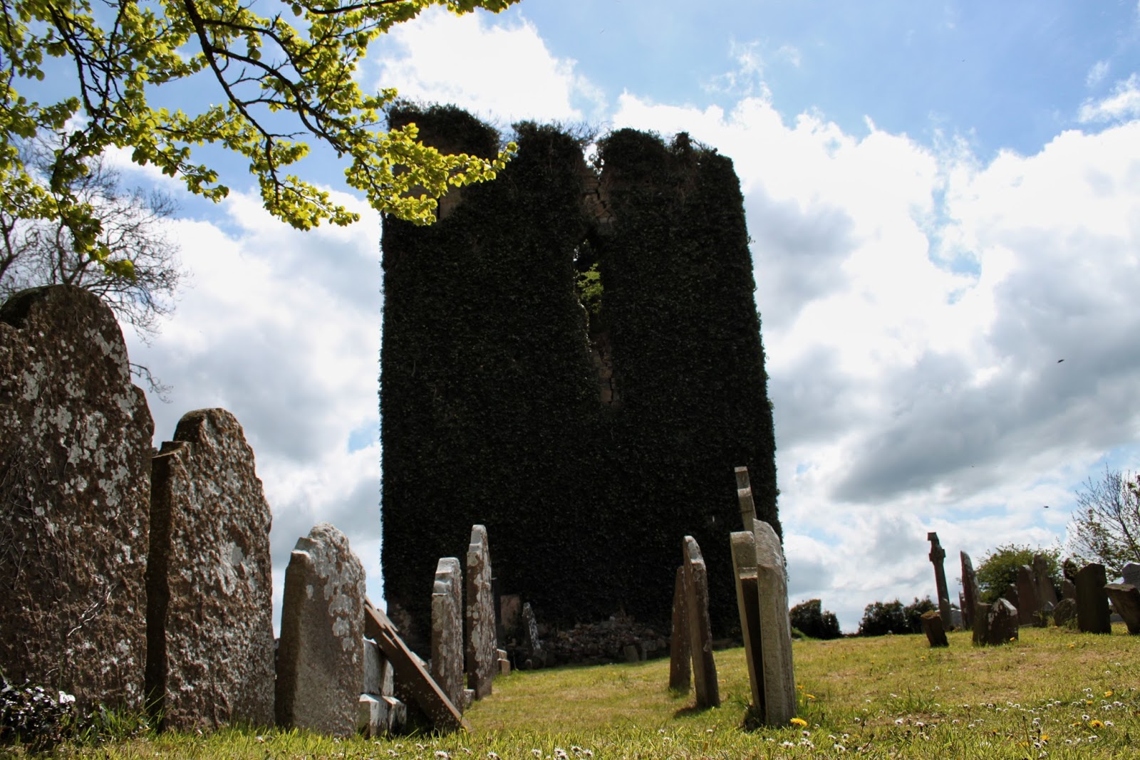 Historic Sites of Ireland: Bruree Castle (aka Ballynoe)
